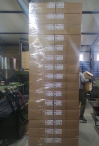 About Us – REGULUS ProSystems